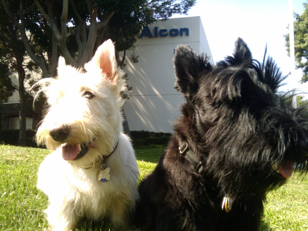 ALCON RESEARCH - Updated December 2025 - 60 Post, Irvine, California ...