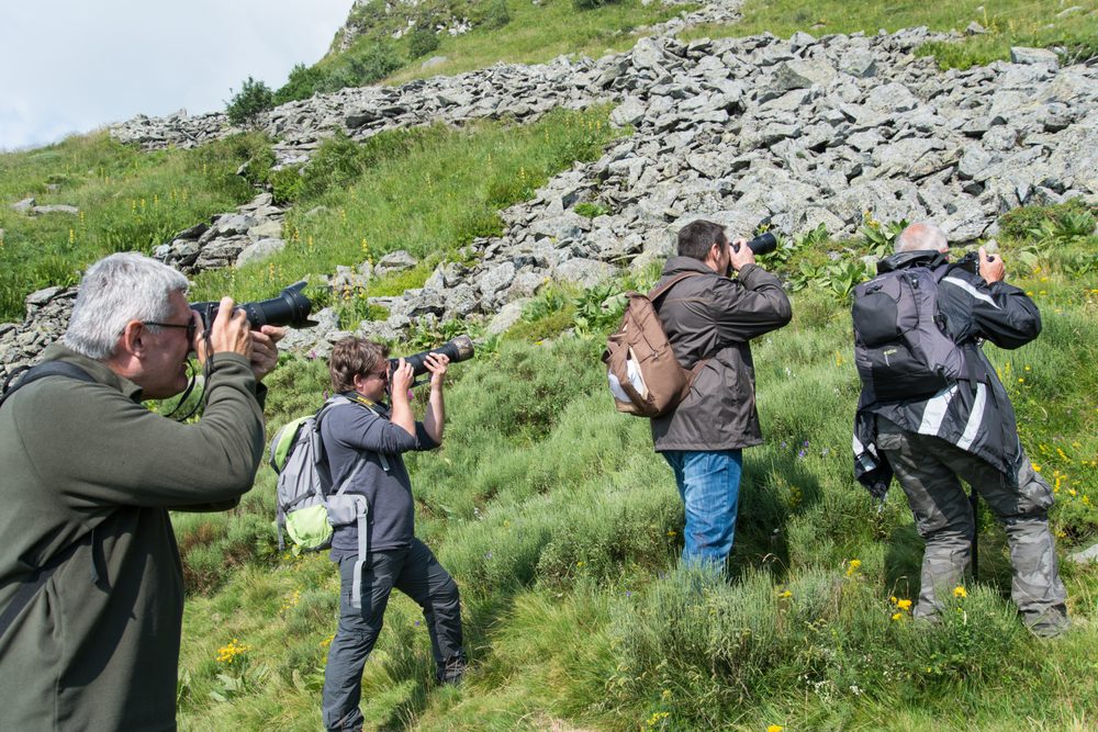 ALAIN PONS PHOTOGRAPHE - Clermont-Ferrand, Puy-de-Dôme, France - Yelp