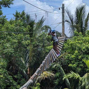TREETOP TREKKING MIAMI - Updated January 2026 - 32 Photos & 23 Reviews ...