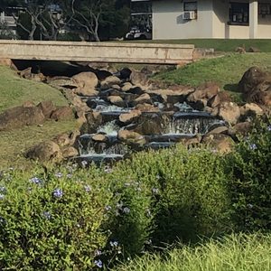 ROYAL KUNIA COUNTRY CLUB - 193 Photos & 79 Reviews - 94-1509 Anonui St ...