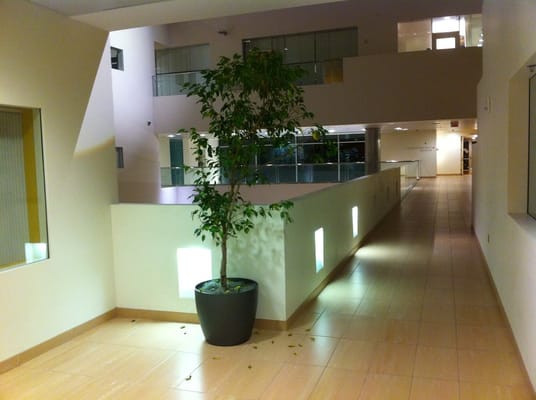 MIT BUILDING 46 - BRAIN & COGNITIVE SCIENCE BUILDING - Updated April ...