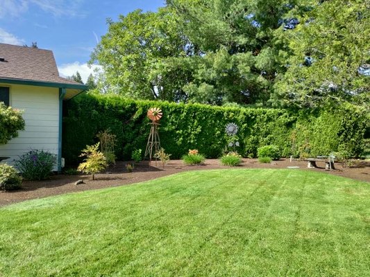 DANIEL V LANDSCAPING - 26 Photos - Vancouver, Washington - Landscaping - Phone Number - Yelp