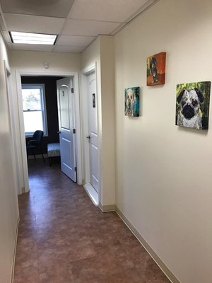 CLIFTON AVE ANIMAL HOSPITAL - Updated November 2025 - 26 Photos & 49 ...