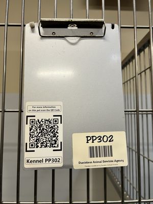 STANISLAUS ANIMAL SERVICES AGENCY - Updated December 2025 - 71 Photos ...