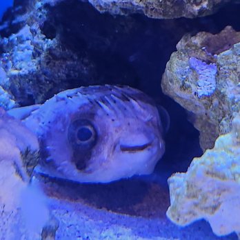 FLOATING SEA AQUATICS - Updated October 2024 - 235 Photos & 45 Reviews ...