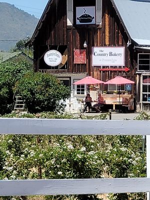 PENNINGTON FARMS - Updated April 2025 - 123 Photos & 109 Reviews ...