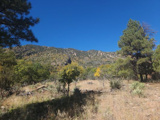 FATMAN’S LOOP TRAIL - Updated December 2025 - 28 Photos & 16 Reviews ...