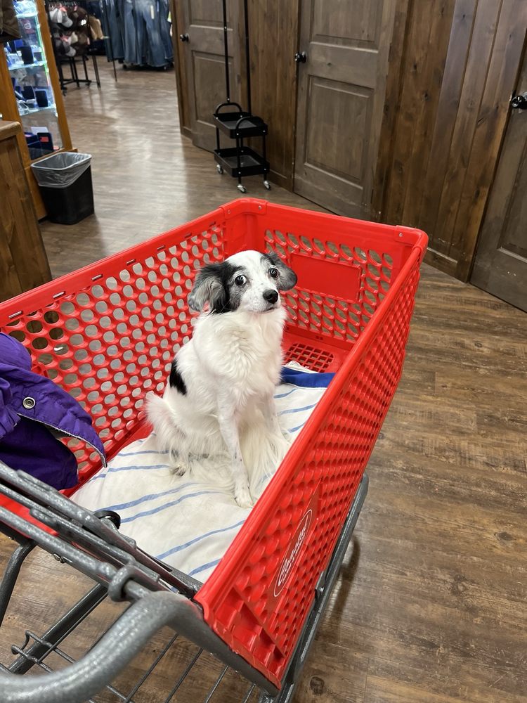 WILCO FARM STORE- CORVALLIS - Updated December 2025 - 21 Reviews - 1905 ...