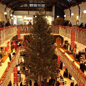 RED SQUIRREL - Updated February 2025 - 89 Photos & 93 Reviews - 21 ...