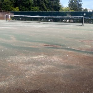 STRATTONWOOD SWIM CLUB - Updated July 2025 - 20 Photos - 7616 139th Pl ...