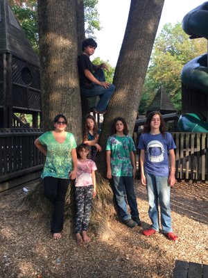 PARKSIDE PLACE PARK - Updated September 2024 - 36 Photos - 1 Parkside ...