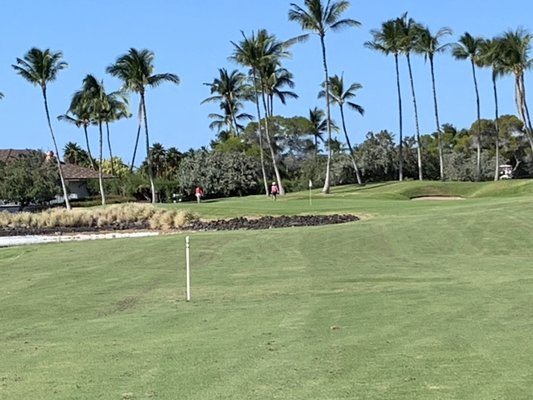 HAPUNA GOLF COURSE - 21 Photos & 25 Reviews - 62-100 Kauna'oa Dr ...