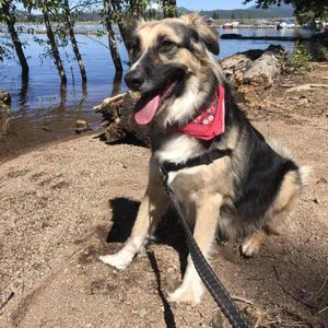 RIVER REFLECTIONS RV PARK & CAMPGROUND - 67 Photos & 41 Reviews - 4360 ...