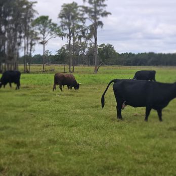 WESLEY WELLS FARM - Updated December 2025 - 108 Photos & 12 Reviews ...