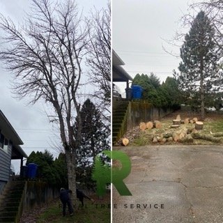 ROYAL TREE SERVICE - Updated July 2025 - 5211 Countryside St NE, Salem ...