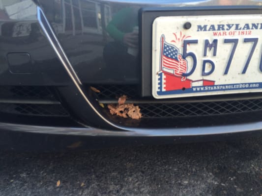 FREDERICK AUTO SPA - RT 40 - Updated September 2025 - 49 Photos & 97 ...