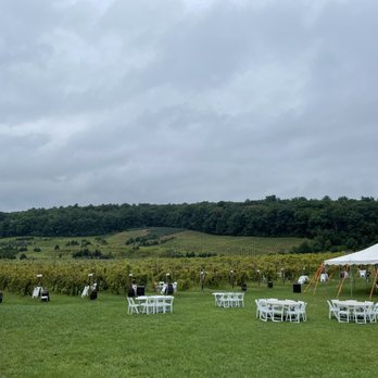 BLUE RIDGE ESTATE VINEYARD & WINERY - Updated June 2024 - 557 Photos ...
