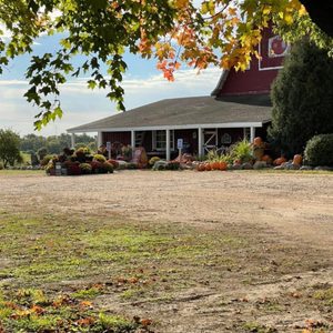 LUCELINE ORCHARD - Updated December 2025 - 131 Photos & 45 Reviews ...