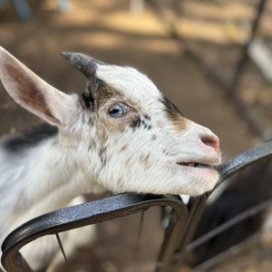 GREAT SOUTHWEST EQUESTRIAN CENTER - Updated November 2025 - 2501 S ...