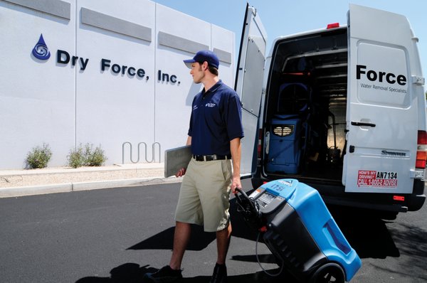 DRY FORCE WATER REMOVAL SPECIALISTS - Updated December 2025 - 15 Photos ...
