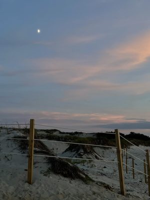 CHAPIN MEMORIAL BEACH - Updated August 2025 - 89 Photos & 33 Reviews ...