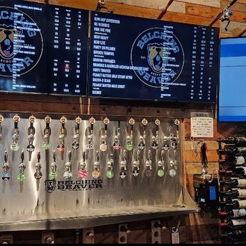 BELCHING BEAVER PUB 980 - 877 Photos & 621 Reviews - 980 Park Center Dr ...