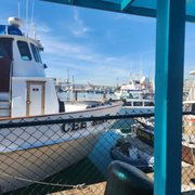BERTH 55 FISH MARKET AND SEAFOOD DELI - 1471 Photos & 800 Reviews - 555 ...
