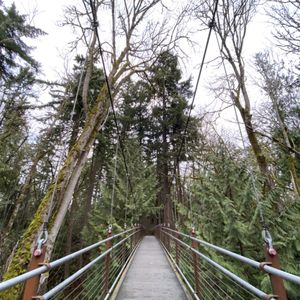 BELLEVUE BOTANICAL GARDEN - 1491 Photos & 295 Reviews - 12001 Main St ...