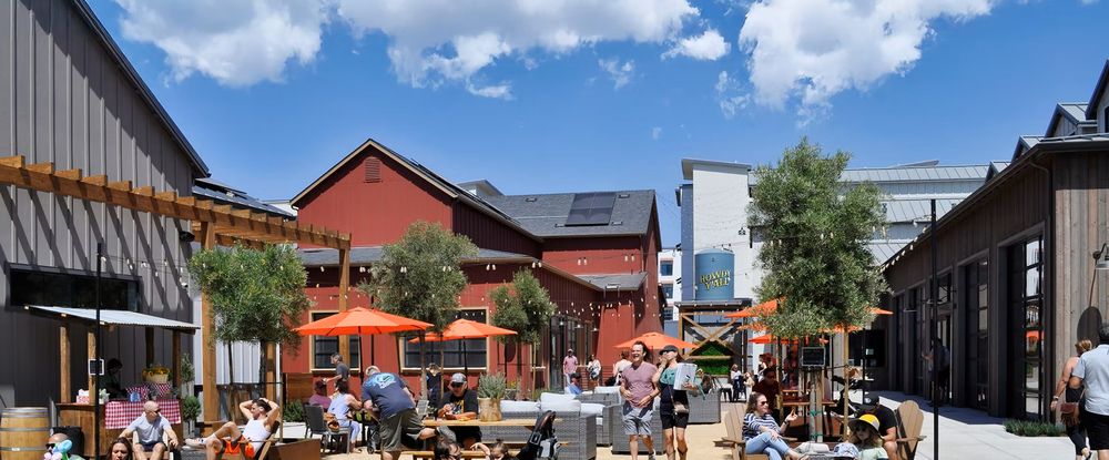 VINTAGE CHEESE - Updated December 2025 - 39 Photos - 811 Froom Ranch ...