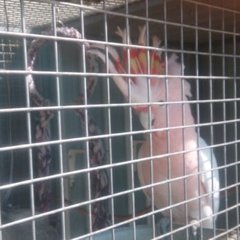 LOWER LIGHT HOTEL - Updated January 2026 - 33 Port Wakefield Rd, Lower ...