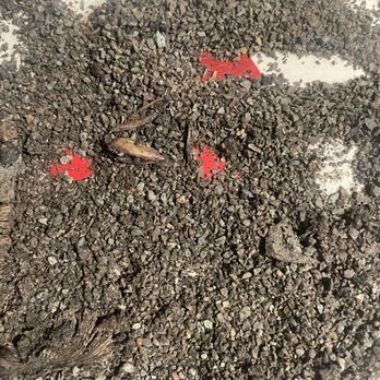 ROOFMAX - Updated July 2025 - 26 Photos & 33 Reviews - 1940 Olivera Rd ...