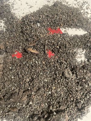 ROOFMAX - Updated January 2026 - 26 Photos & 44 Reviews - 1940 Olivera ...