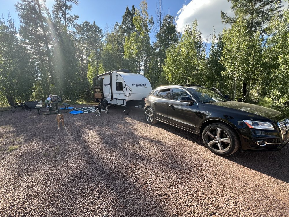 APACHE TROUT CAMPGROUND - Updated October 2025 - 12 Photos - Big Lake ...