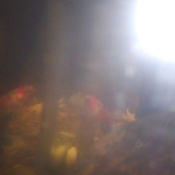 GAISER PETS - Updated October 2025 - 62 Photos & 106 Reviews - 714 ...