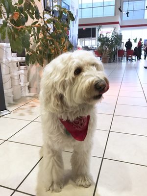 EXPRESSWAY TOYOTA - Updated December 2025 - 47 Photos & 364 Reviews ...