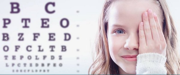 ELLIOTT SHAPIRO, FAMILY OPTOMETRY - Updated January 2026 - 13 Reviews ...