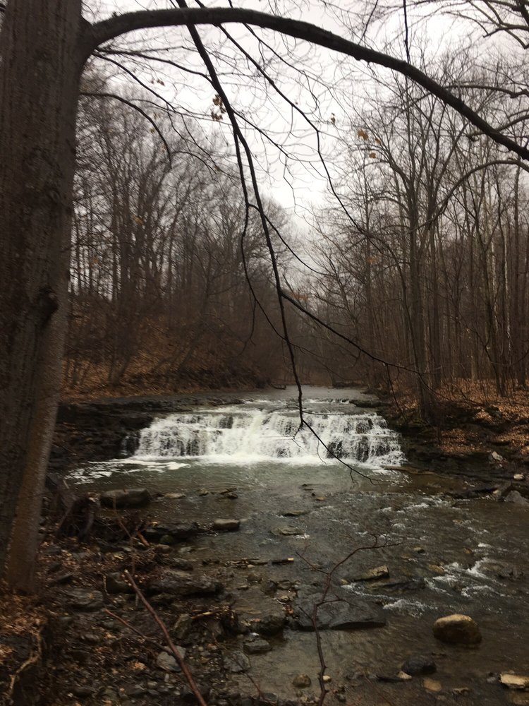 Great Gully Nature Preserve Hiking Springport Ny Yelp