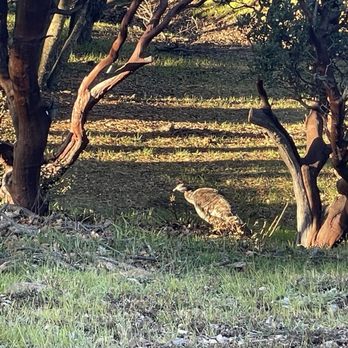 KQ RANCH - Updated July 2025 - 540 Photos & 275 Reviews - 449 Kq Ranch ...