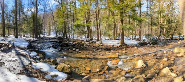 LINN RUN STATE PARK - Updated August 2025 - 78 Photos - 770 Linn Run Rd ...