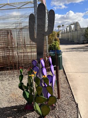 MESQUITE VALLEY GROWERS NURSERY - Updated July 2025 - 627 Photos & 248 ...