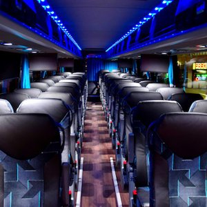 LUCKY STAR BUS - Updated December 2025 - 17 Photos & 183 Reviews - 145 ...