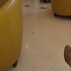 EMERGENCY ROOM AT DUKE UNIVERSITY HOSPITAL - 28 Reviews - 2301 Erwin Rd ...