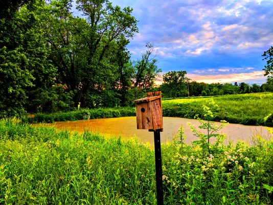 CHESLEN PRESERVE - NATURAL LANDS - Updated June 2026 - 39 Photos - 1199 ...