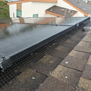 CITADEL ROOFING & SOLAR - Updated September 2025 - 60 Photos & 193 ...