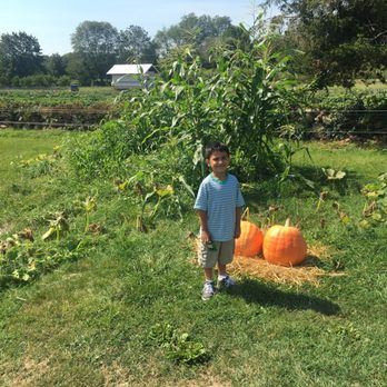 WHITE GATE FARM - Updated December 2025 - 35 Photos & 13 Reviews - 83 ...