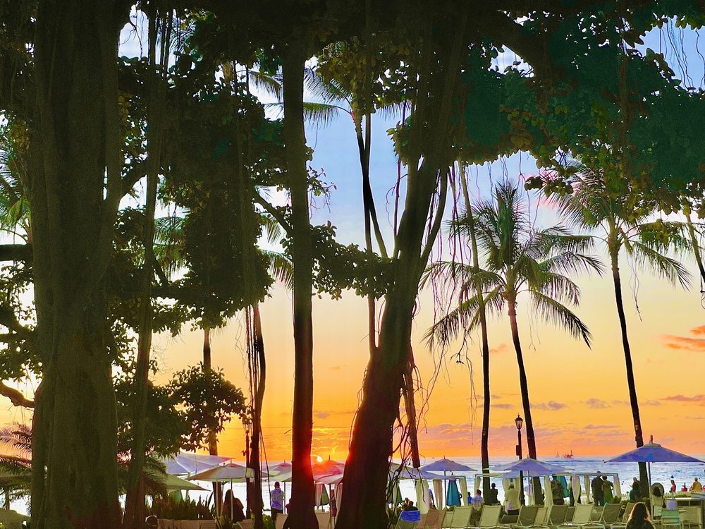 ALOHA BEACH SERVICES - Updated December 2025 - 189 Photos & 71 Reviews ...