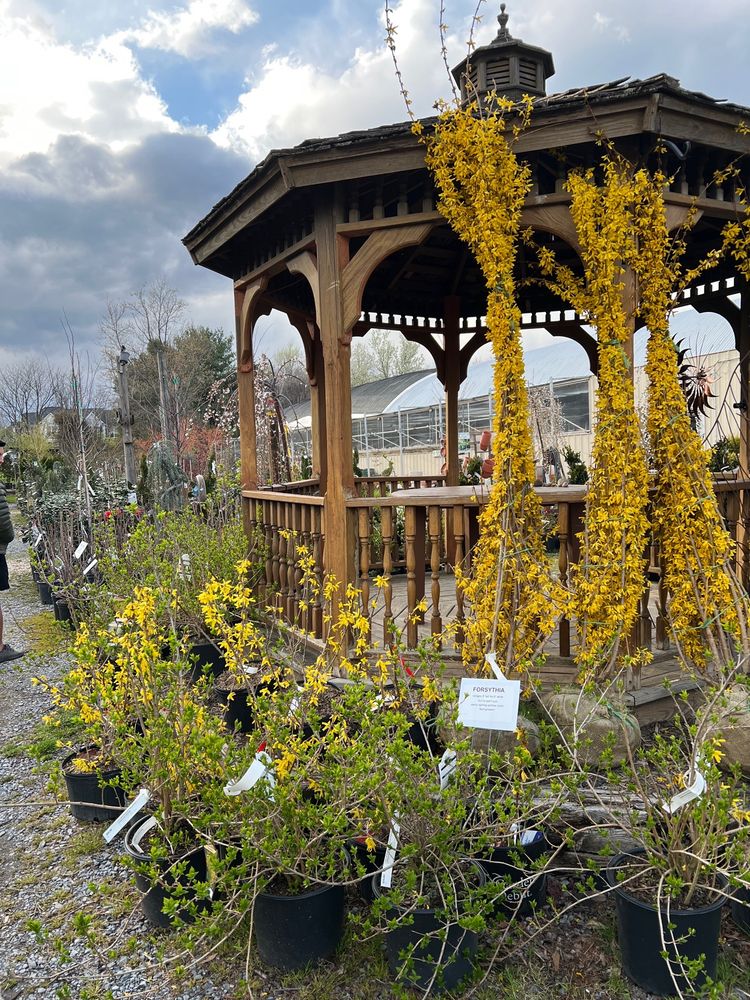 DUTCH PLANT FARM - 29 Photos & 32 Reviews - 151 Baughmans Ln, Frederick ...