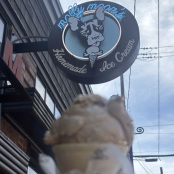 MOLLY MOON’S - Updated January 2026 - 48 Photos & 56 Reviews - 558 Main ...