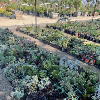 GREEN VALLEY GROWERS WHOLESALE NURSERIES - Updated September 2024 - 92 ...