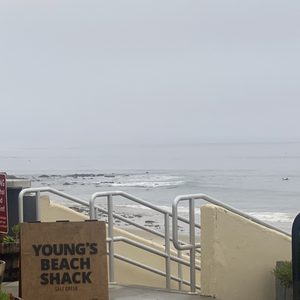 YOUNG’S BEACH SHACK 【76 Photos & 51 Reviews】 33521 Ritz Carlton Dr ...